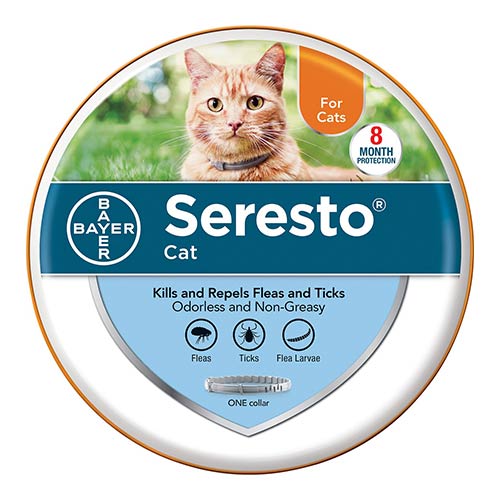 Buy Seresto for Cats (38 Cms) at Lowest Price