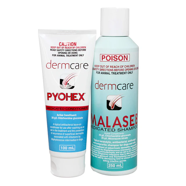 Buy Dermcare Malaseb & Pyohex Combo 250ml Shampoo + 200ml Conditioner ...