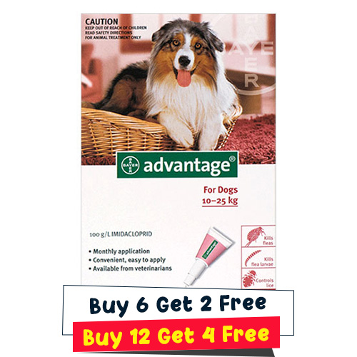 Buy Advantage Large Dogs 21-55lbs (Red) at Lowest Price