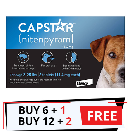 Buy Capstar for Small Dogs 2 - 25 lbs (Blue) at Lowest Price