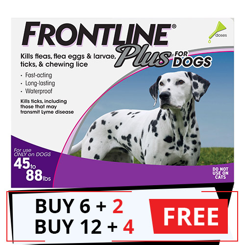 Buy Frontline Plus for Large Dogs 45-88 lbs (Purple) at Lowest Price