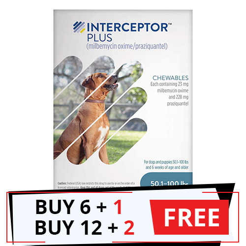 Buy Interceptor Plus Chew (Interceptor Spectrum) for Dogs 50.1- 100lbs ...