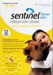 Buy Sentinel For Dogs 11-25 lbs (Green) at Lowest Price